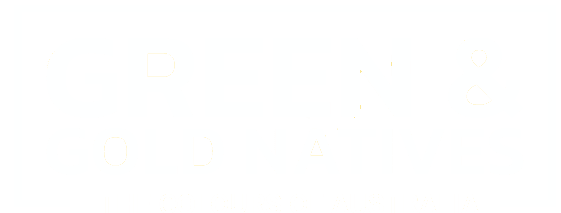Silver Weeping Tea -Tree - Green and Gold Natives
